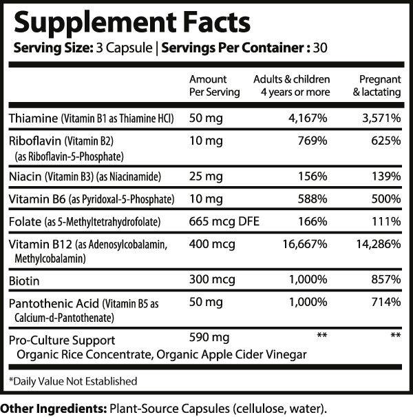 Vitamin B Complex - EVOLVE Nutrition